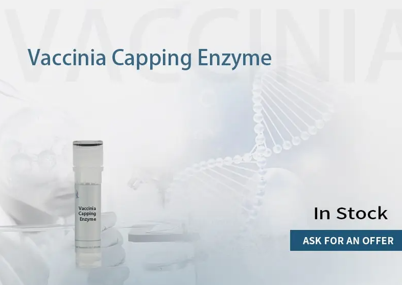 Vaccinia Capping Enzyme | Axis Shield Density Gradient Media